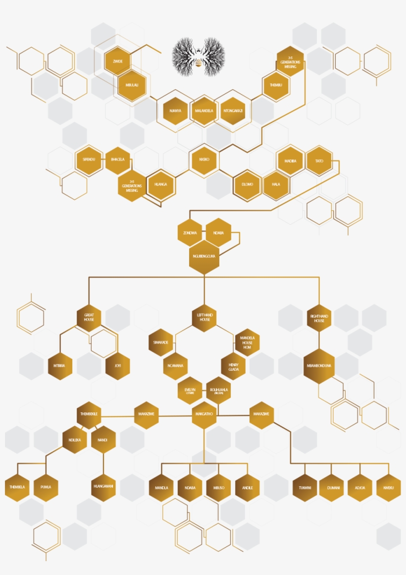 Global Citizen - Nelson Mandela Family Tree - 970x1325 PNG Download ...