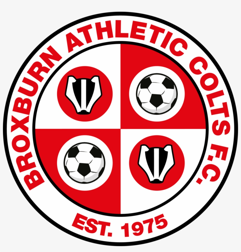 Colts Logo Png - 1000x1000 PNG Download - PNGkit