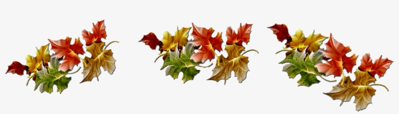 Thanksgiving Divider