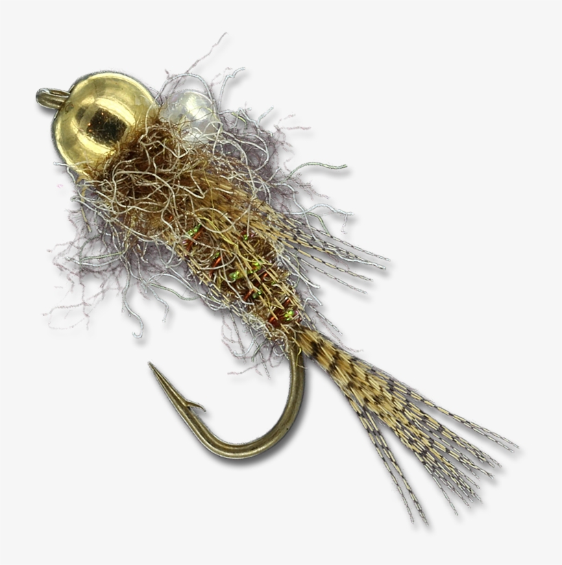 Rk Bh Big Bird - Fish Hook - 800x800 PNG Download - PNGkit