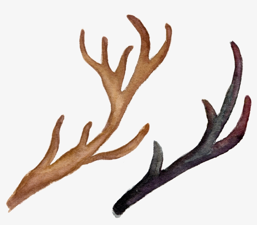 Deer Antlers H - Watercolor Flowers And Deer Antlers - 3640x3000 PNG ...