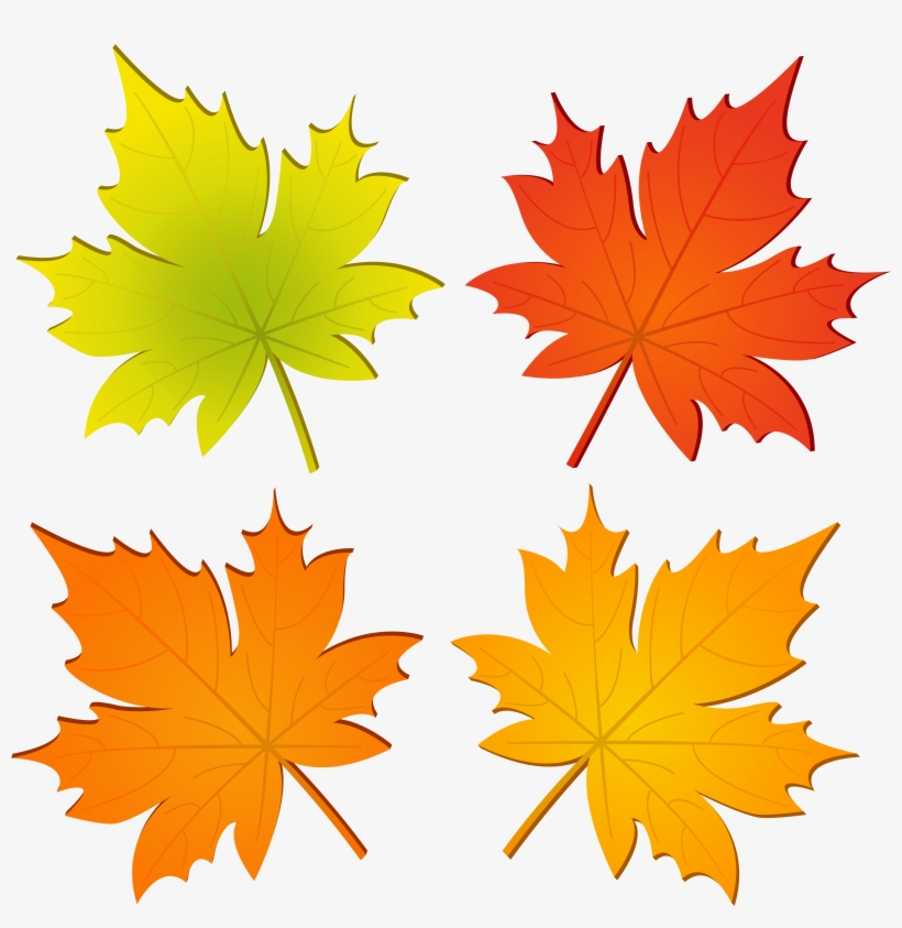 Thanksgiving Leaves Png - 8000x7775 PNG Download - PNGkit