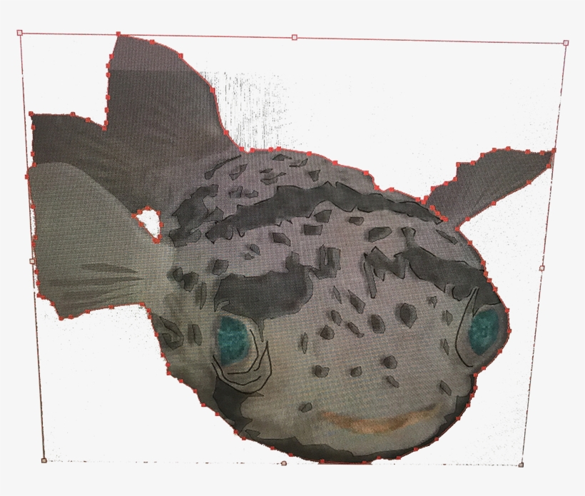 Blow Koi Fish - 817x631 PNG Download - PNGkit