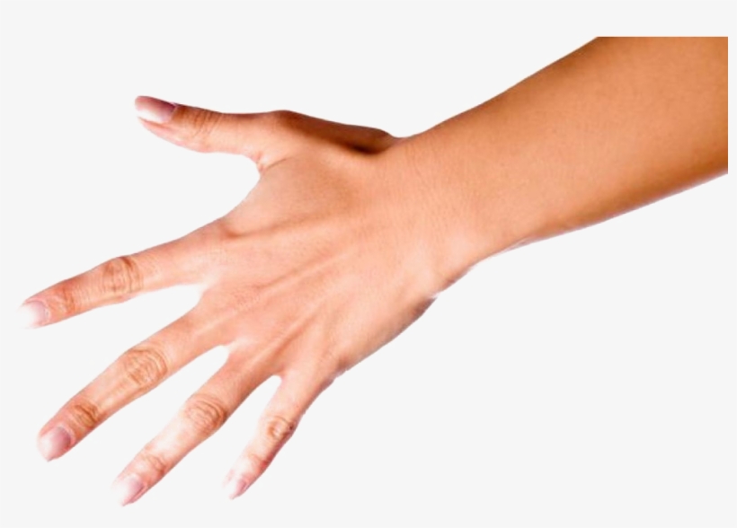Finger Download Transparent Png Image - Finger - 1079x720 PNG Download ...