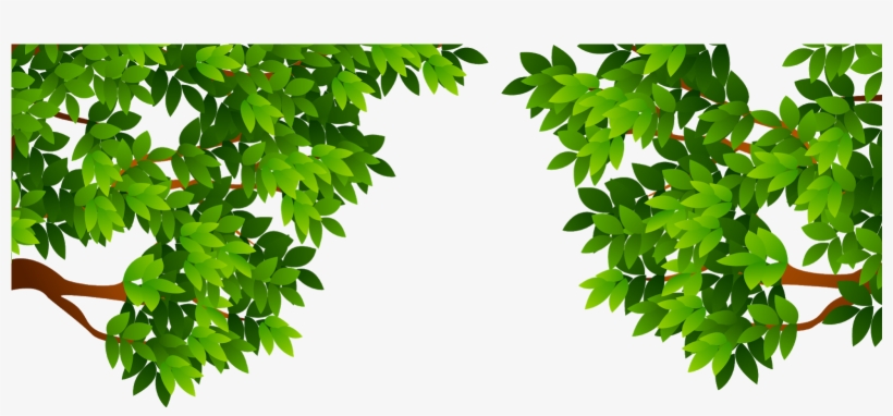 Tree Vector Png - Twig - 1600x1200 PNG Download - PNGkit
