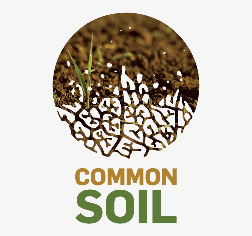 Common Sense For Living Soil - Poster - 500x714 PNG Download - PNGkit
