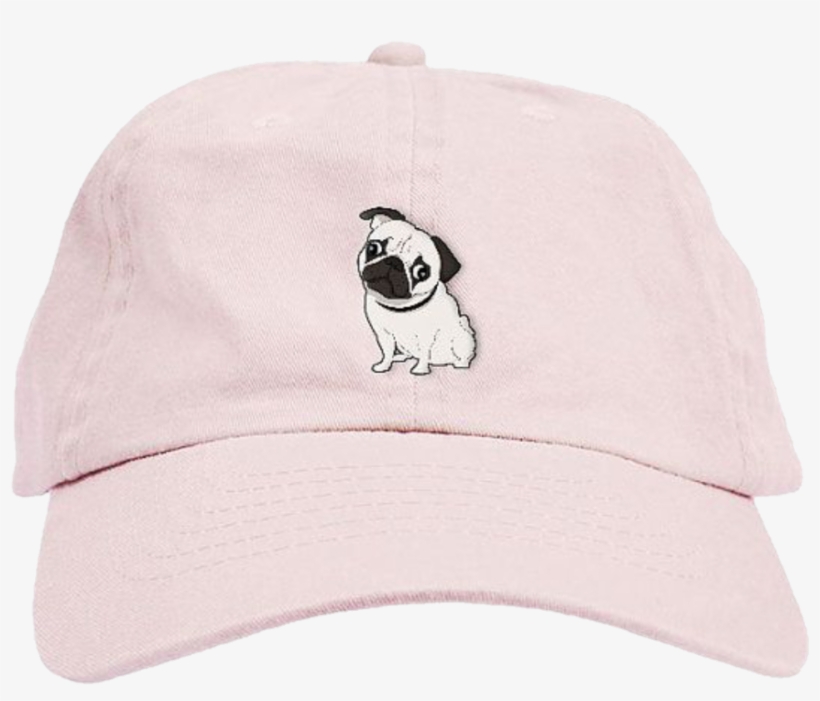 Cap Sticker - Pug - 1024x882 PNG Download - PNGkit