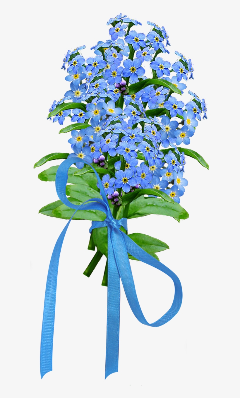 Forget Me Not Png Image - Dayflower - 612x1280 PNG Download - PNGkit