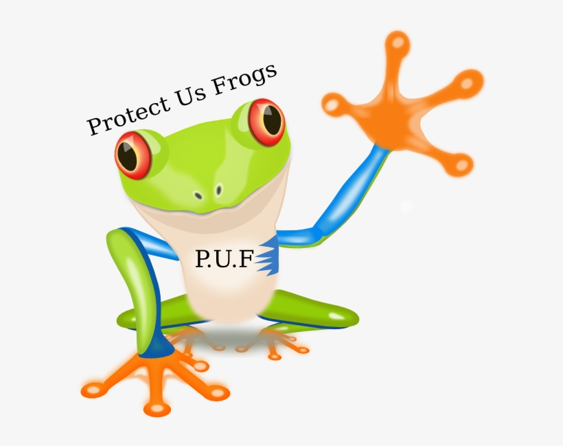 Small - Red Eyed Tree Frog Cartoon - 600x569 PNG Download - PNGkit