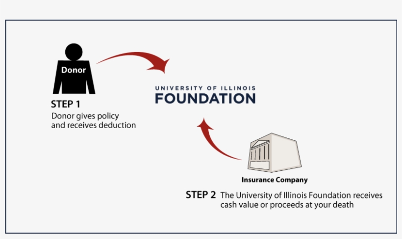 Life Insurance Policy Diagram - Diagram - 825x450 PNG Download - PNGkit