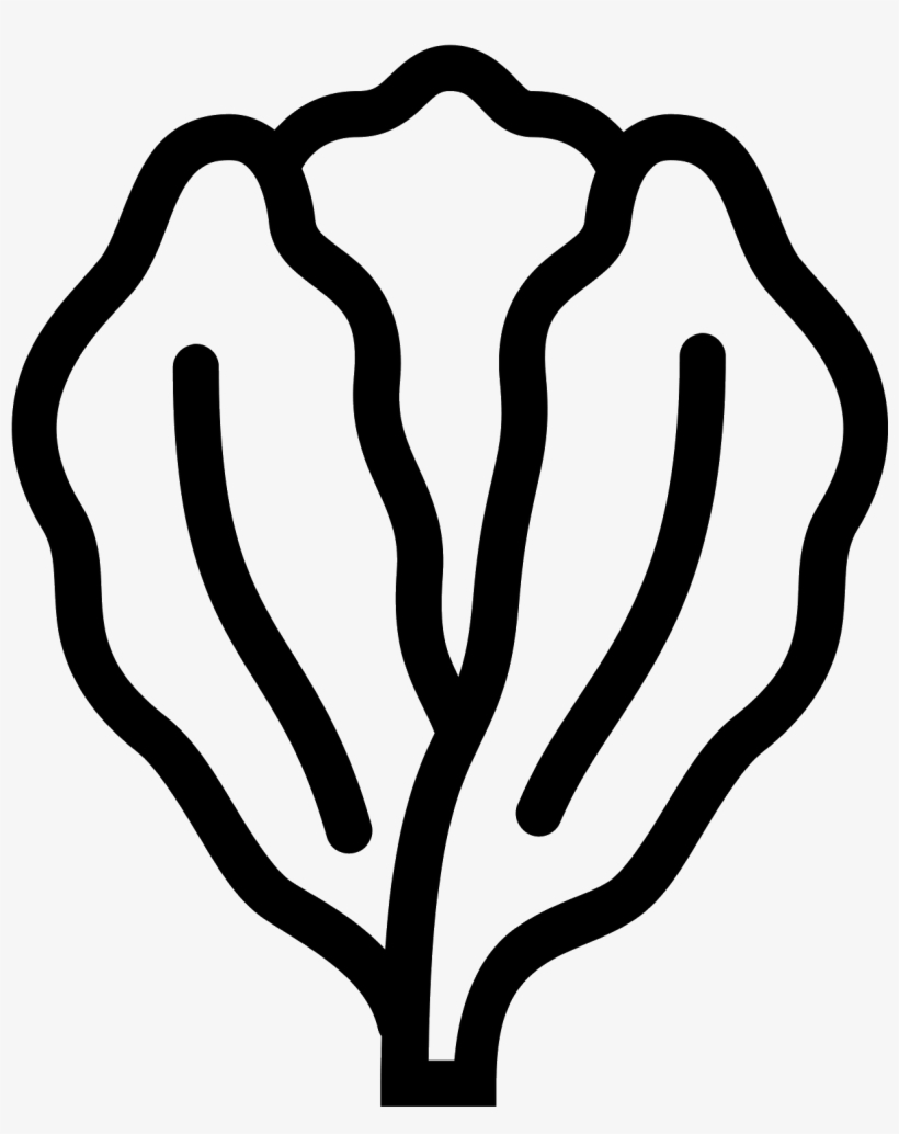 Image Library Stock Icon Free Download Png And The - Lettuce Icon Png ...