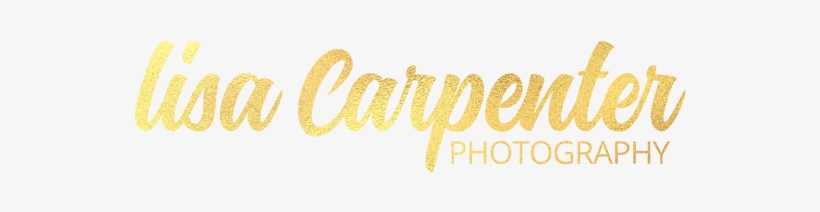 Download Transparent Lisa Carpenter Photography - Wedding - PNGkit