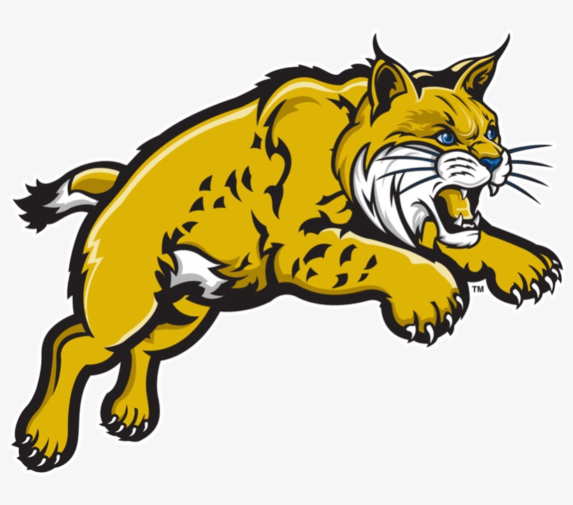 University Of California Merced - Uc Merced Bobcat Logo - 800x654 PNG ...