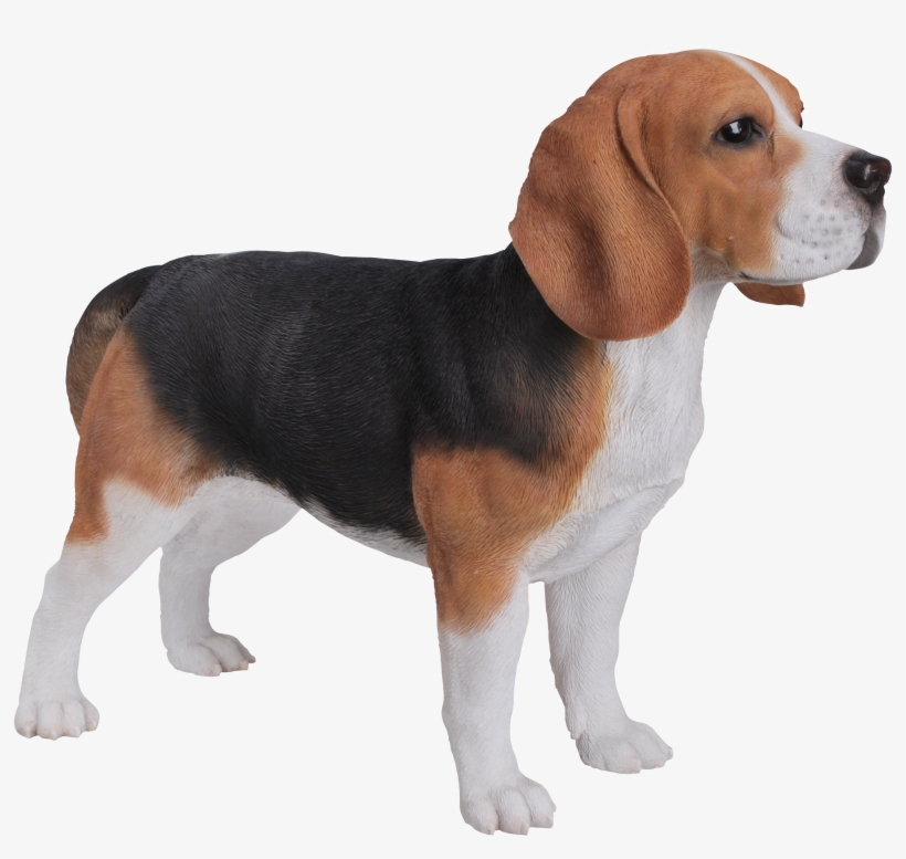 Beagle Png Download Image - Beagle Statue - 2953x2417 PNG Download - PNGkit