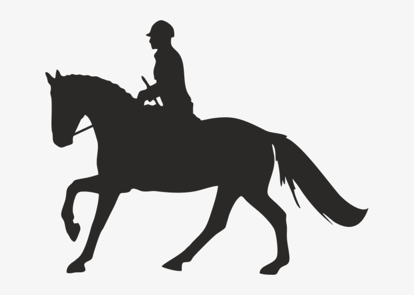 Stallion - 640x504 PNG Download - PNGkit