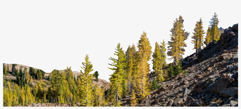 Mountain With Trees Png - 2000x1237 PNG Download - PNGkit