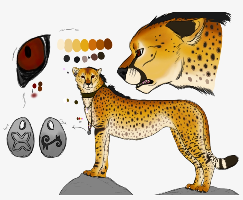 Chester Cheetah Png - 1024x737 PNG Download - PNGkit