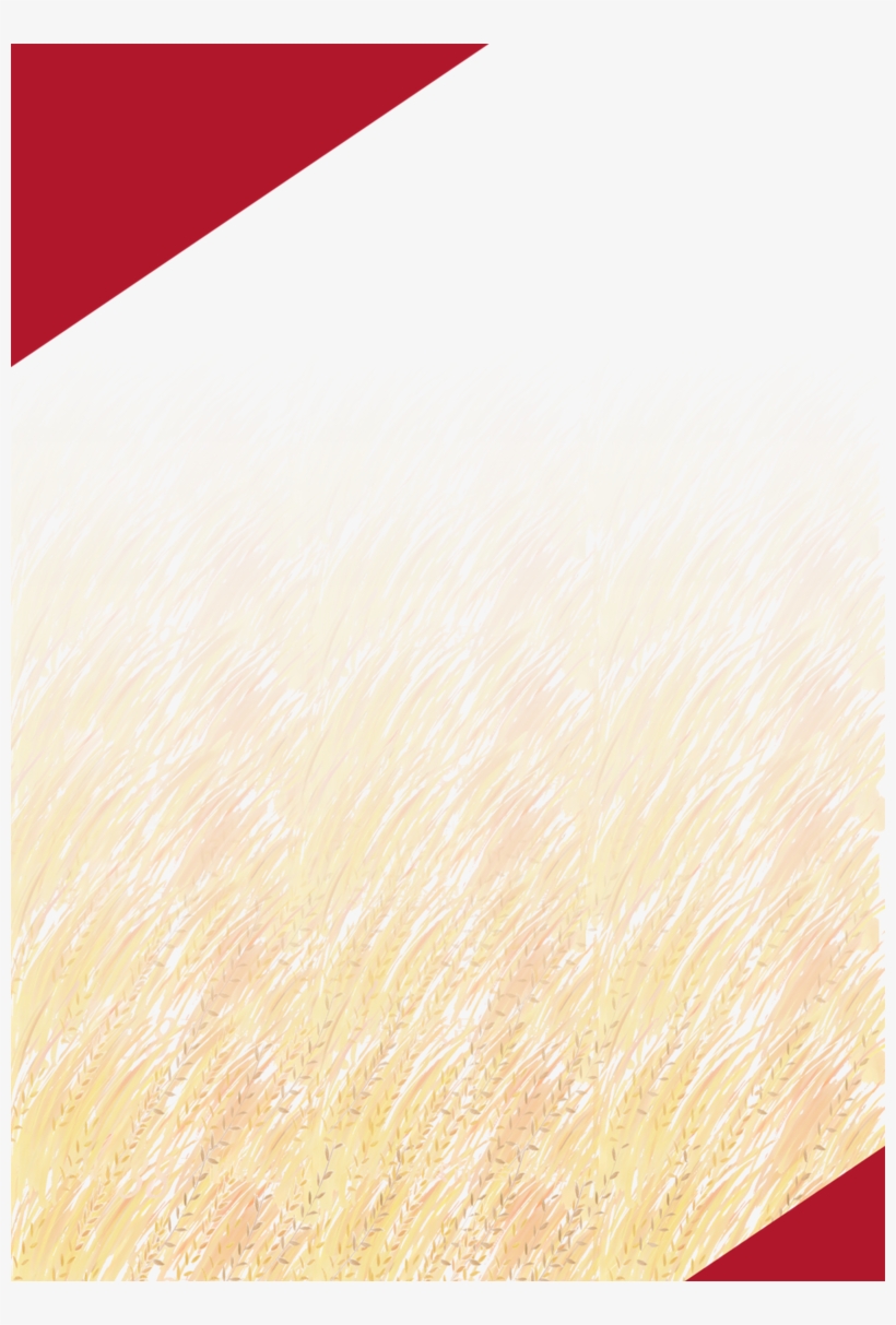 Book Cover Png Hd - Book Image Hd Png - 800x1133 PNG Download - PNGkit