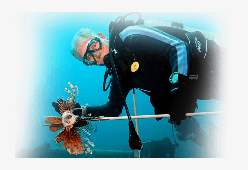 Prevnext - Buoyancy Compensator - 1020x483 PNG Download - PNGkit