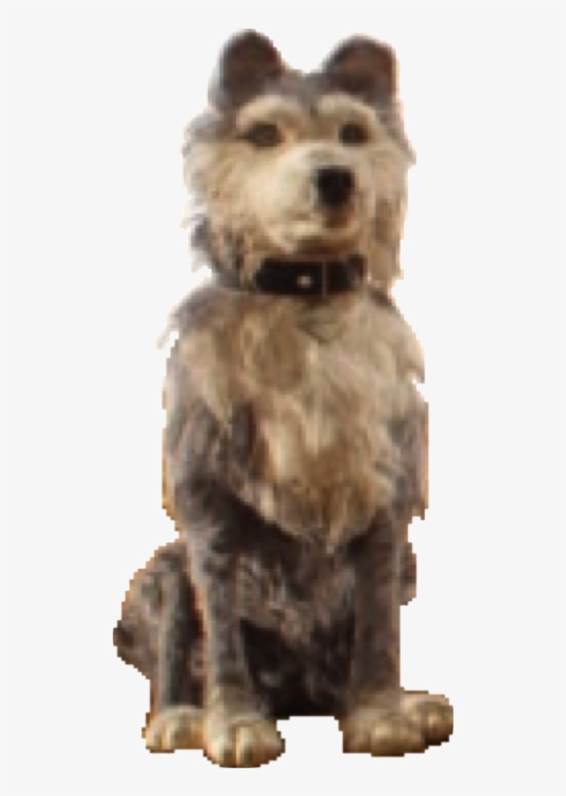 Download Transparent Duke - Isle Of Dogs Duke - PNGkit