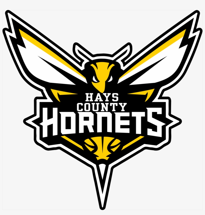 Hornets Logo Png - 1000x1000 PNG Download - PNGkit