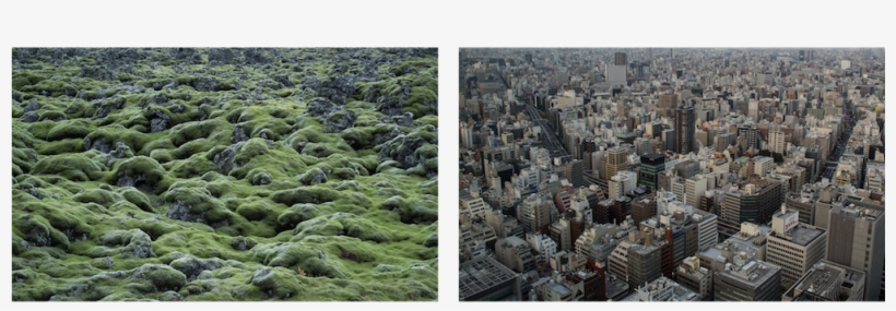 Last Year We Became Well Acquainted With Victor Kuebart, - 1000x667 PNG ...