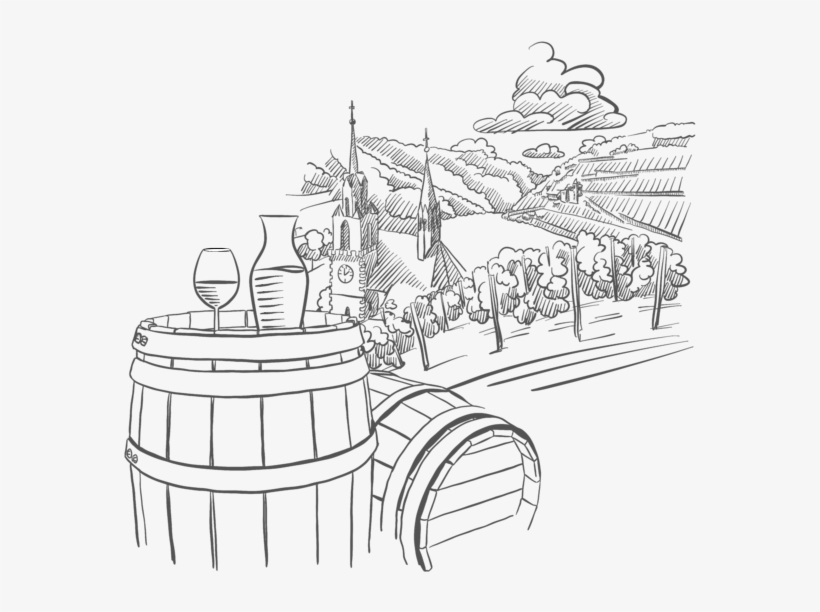 Vineyard Illustration
