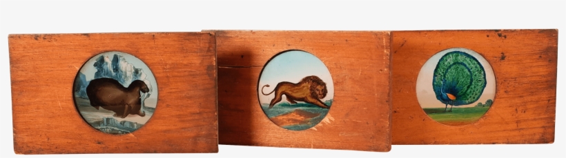 Three Glass Slides With Primitive Hand Painted Animals - Painting ...