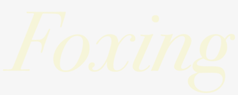 Store - Calligraphy - 2674x945 PNG Download - PNGkit