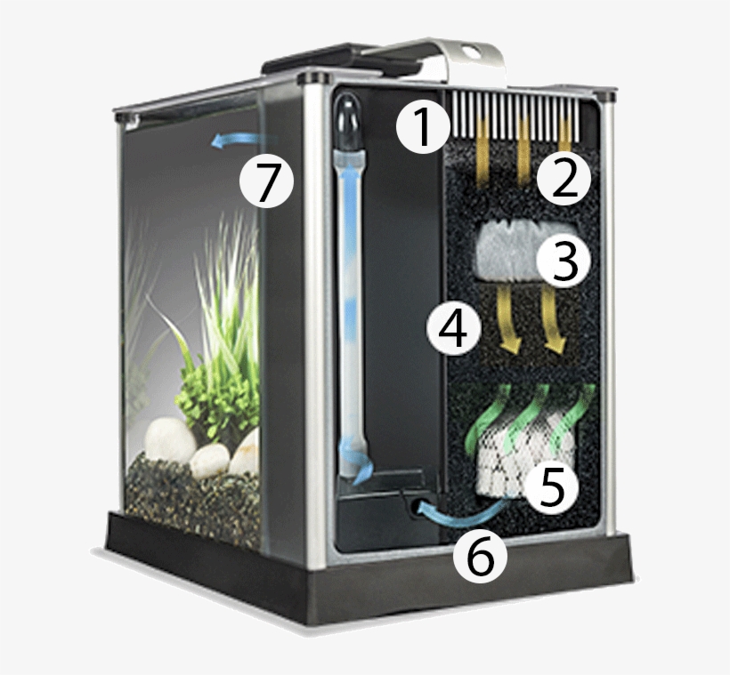 Do Bettas Need A Filter Diagram - Fluval Aquarium Spec 3 Nano - 769x801 ...