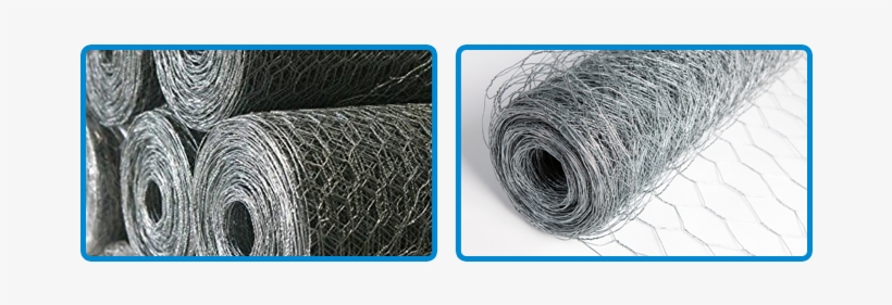 Chicken Wire Mesh Manufacturers - Easipet Chicken Wire 900mm Wide X 50m ...