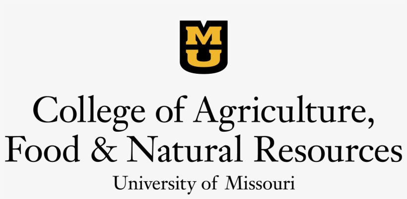 Organizing Committee - Sign - 2248x1088 PNG Download - PNGkit