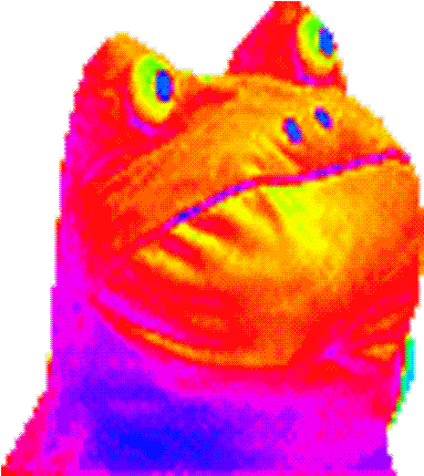 Download Get Out Frog - Mlg Frog Png - Full Size PNG Image - PNGkit