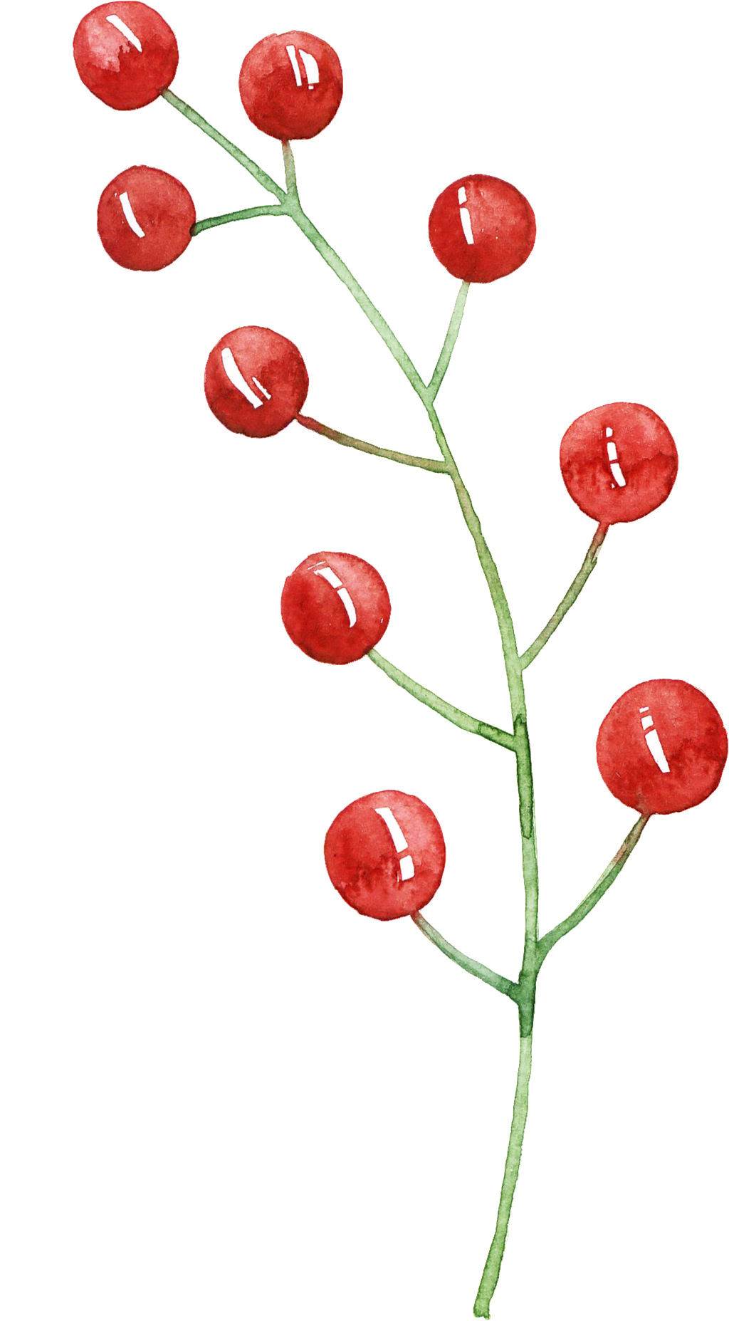 Download This Graphics Is Red Fruit Cartoon Transparent About ...