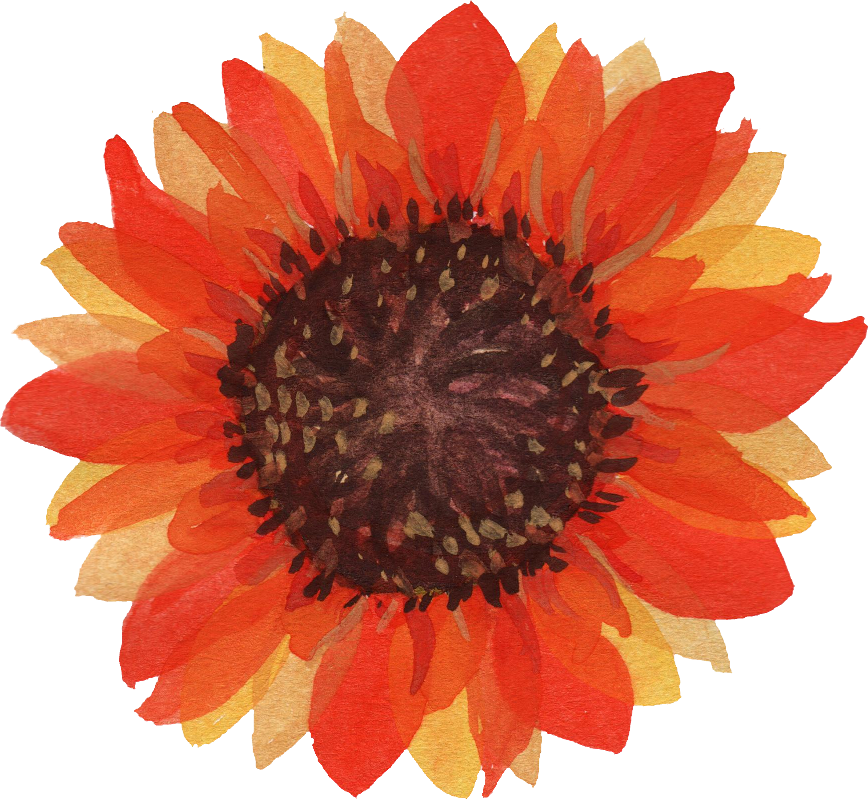 Download Free Download - Full Size PNG Image - PNGkit