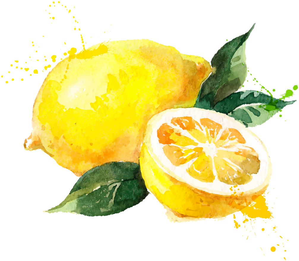 Download Watercolor Painting Royalty Free - Lemon Watercolor Vector ...