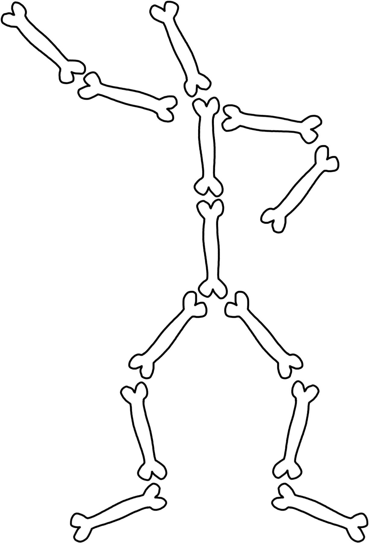 Download Bone Skeleton - Human Body Bones Png - Full Size PNG Image ...