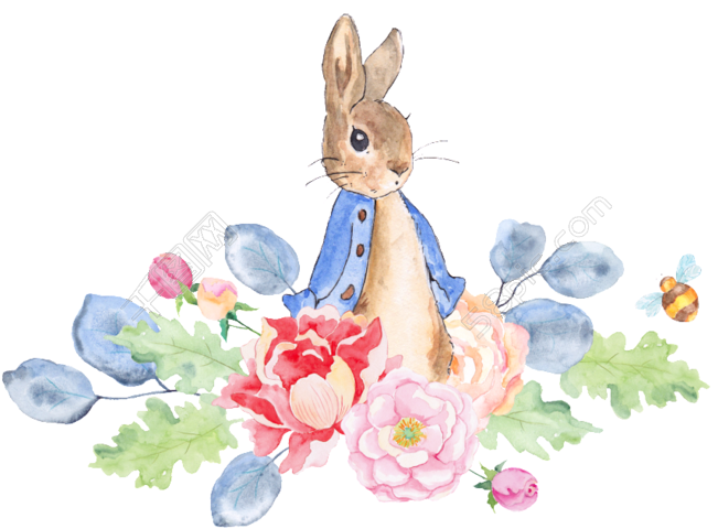 Download Watercolor Flowers Bouquet Png - Peter Rabbit Watercolor ...