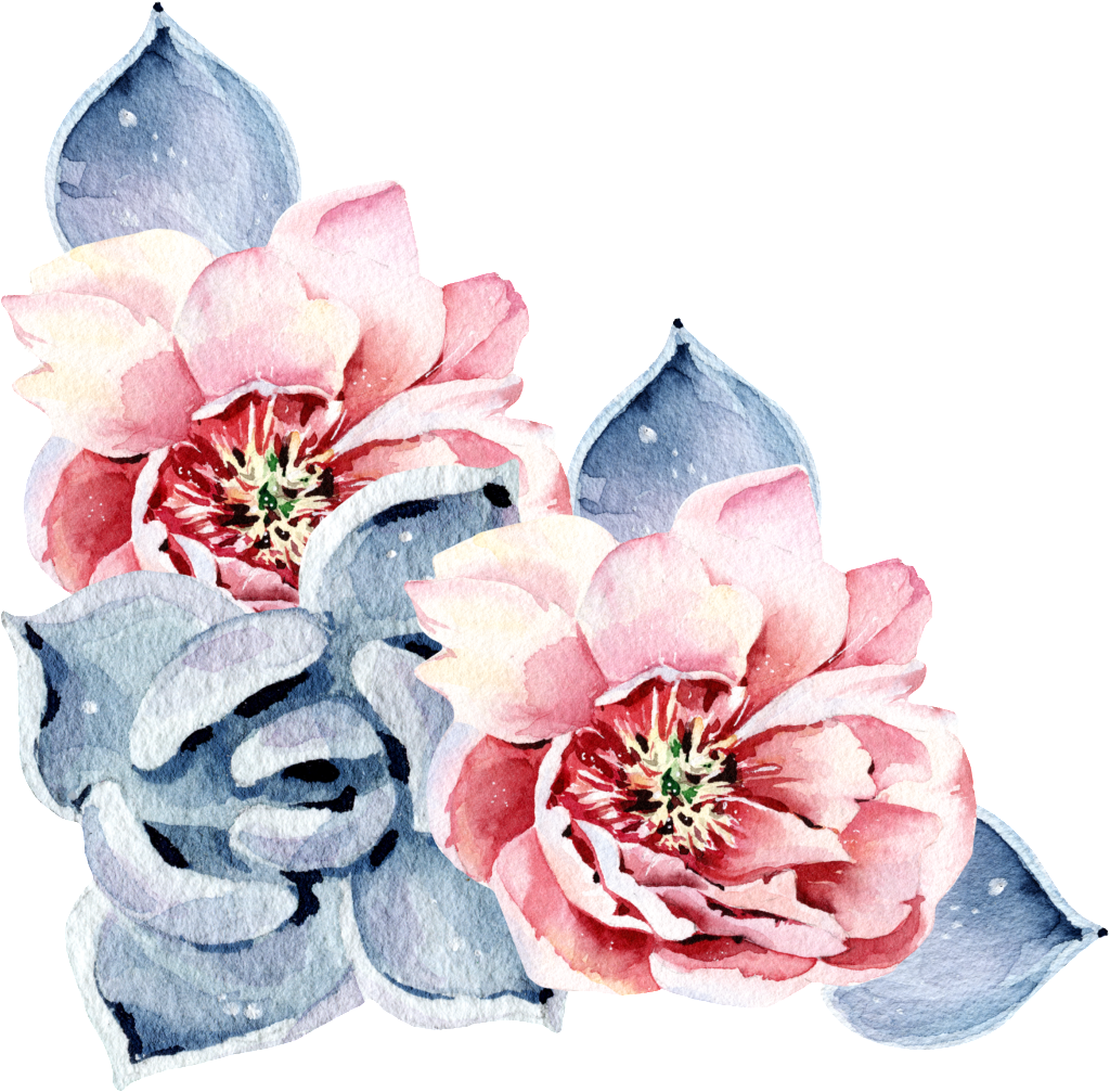 Download Red Succulent Flower Watercolor Hand Painted Transparent ...