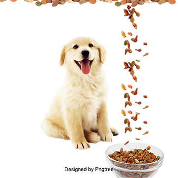 Download Pet Dog, Dog Clipart, Dog, Pet Png And Psd - Cat - Full Size ...