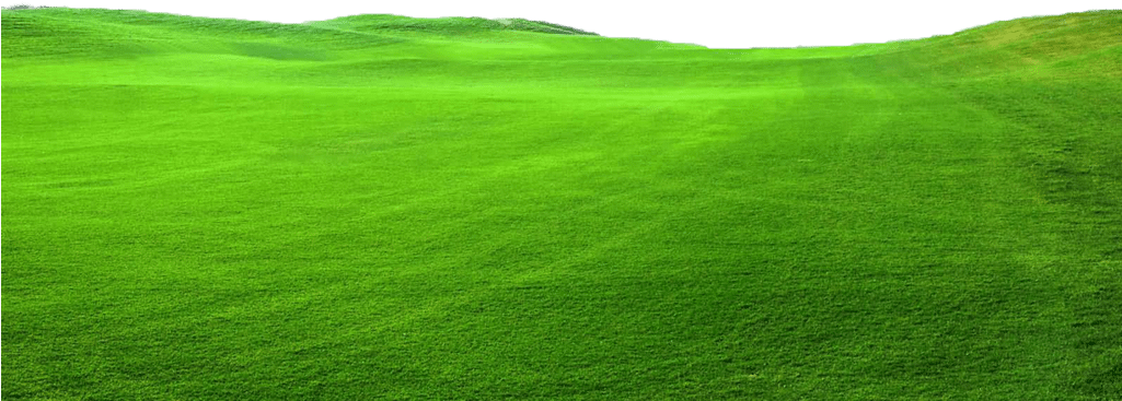 Download Transparent Green Grass -top Turf Lawn Care And Pest - Png ...