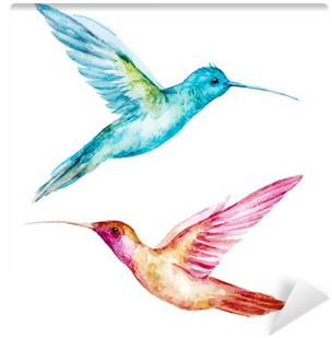 Download Watercolor Colibri - Full Size PNG Image - PNGkit