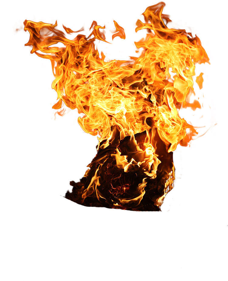 Download Doston Me Aaj Aap Sabhi Editors Ke Liye New Fire Png - Tree On ...