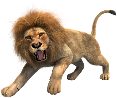Download Sher Png - Full Size PNG Image - PNGkit