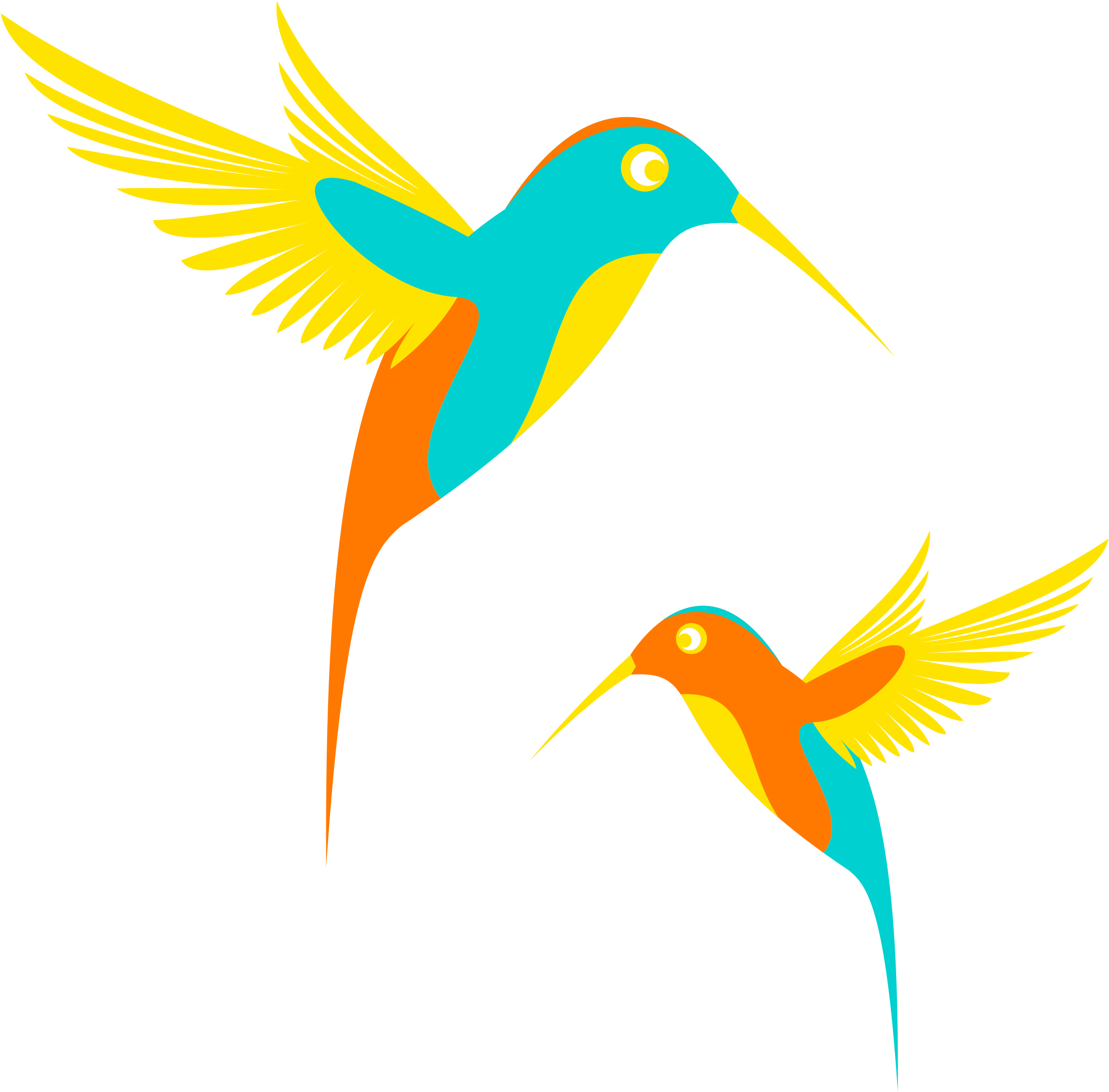 Download This Free Icons Png Design Of Colibri Birds - Full Size PNG ...