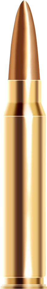 Download Bullet Png Transparent Image - Beer Bottle - Full Size PNG ...