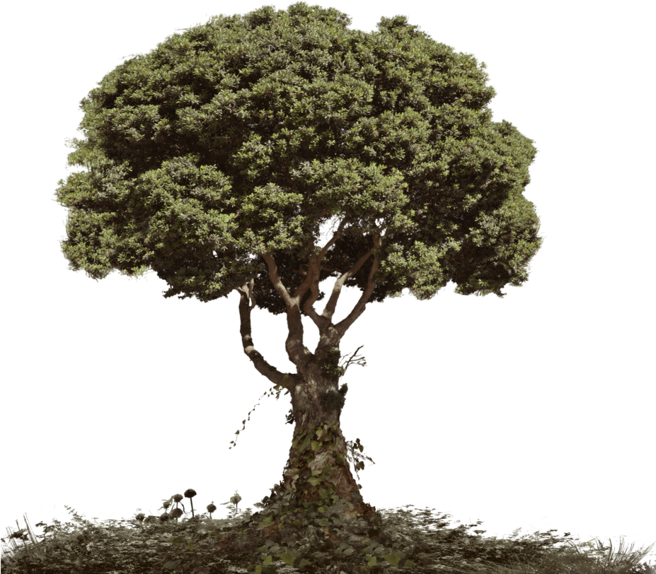 Download Right Click To Free Download This Logo Of The "tree - Tree ...