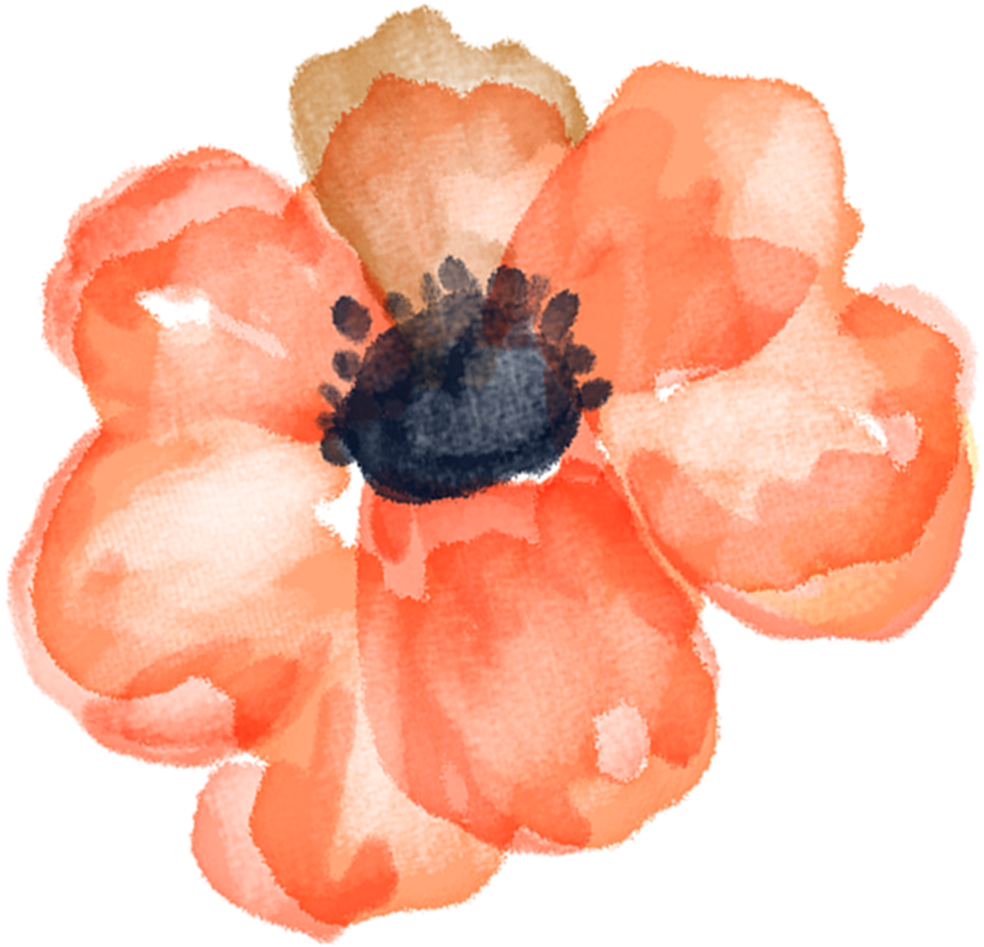 Download Photo By Arana - Watercolor Flowers Orangel Png - Full Size ...