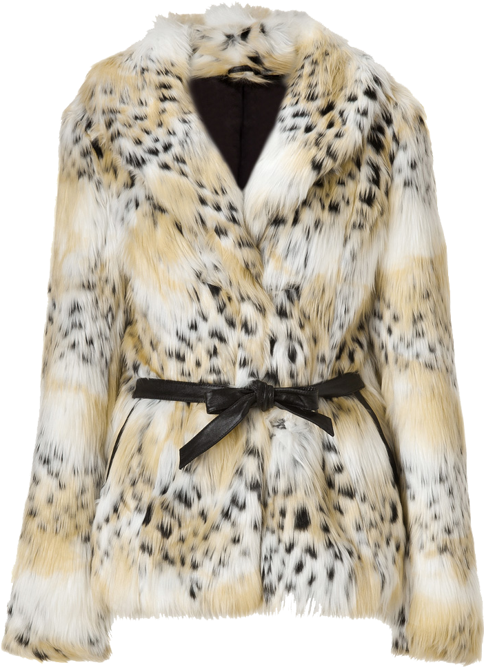 Download Fur Coat Png - Png Fur Coat - Full Size PNG Image - PNGkit
