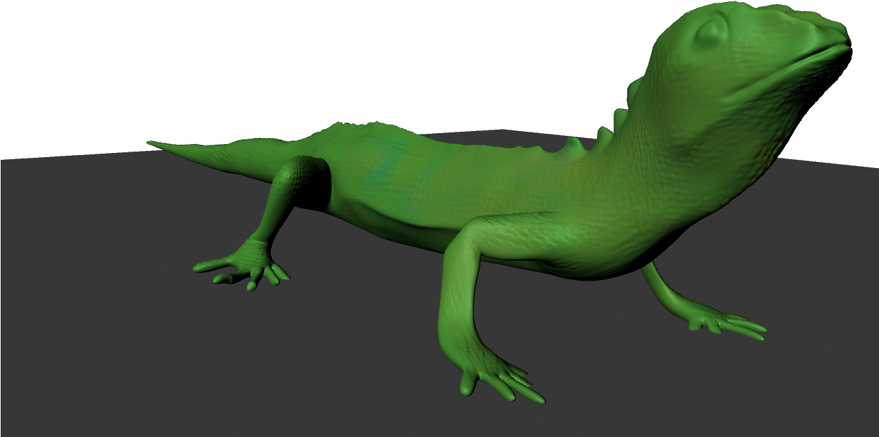 Download The Green Lizard Lizard - Carolina Anole - Full Size PNG Image ...